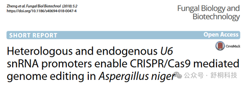 pJOE8999枯草芽孢杆菌CRISPR-Cas9系统基因编辑载体 - 知乎