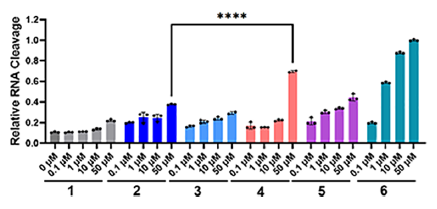 DELopen文献解读 | DEL Screening To Inform Design of a RiboTAC - 知乎