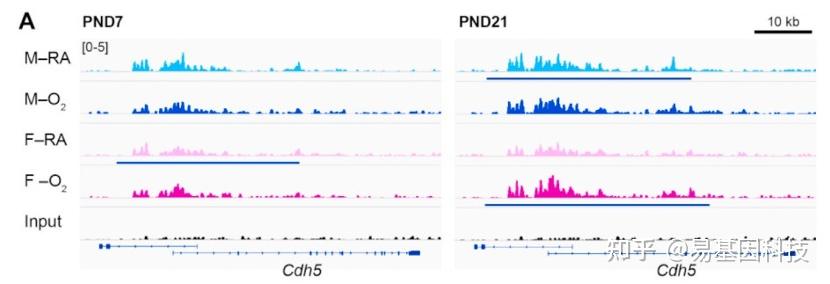 ChIP-seq应用领域、研究思路、数据挖掘、下游实验、实验关键 | 易讲堂 - 知乎