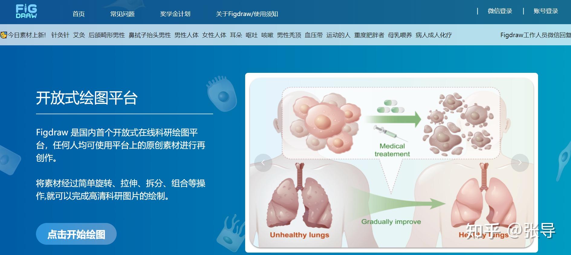 如何实现科研绘图自由？Figdraw这款绘图神器你一定要get！ - 知乎