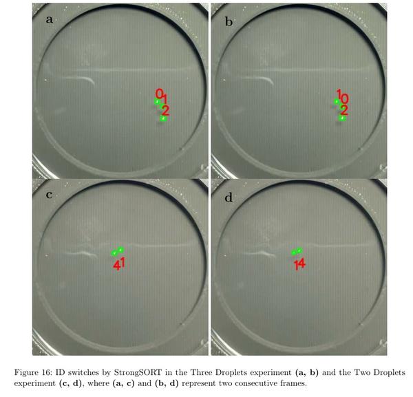 【2023年2月13日】论文分享 - 知乎