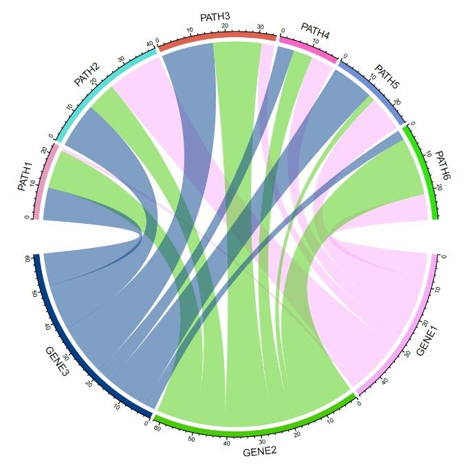 圈图绘制 - 知乎