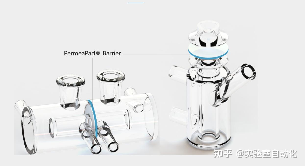 PHABIOC 测试药物渗透性的仿生膜-PermeaPad® Barrier和PermeaPad® plate - 知乎