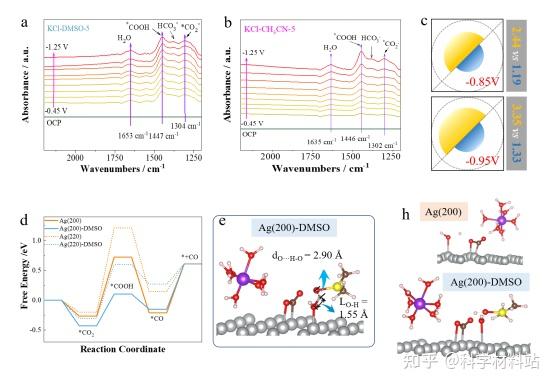 湖南大学张世国课题组Angew: 阳离子溶剂化层分子级设计促进CO2高效电还原 - 知乎