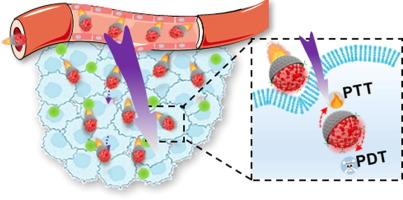 《CEJ》：双动力驱动Janus纳米马达用于癌症治疗 - 知乎