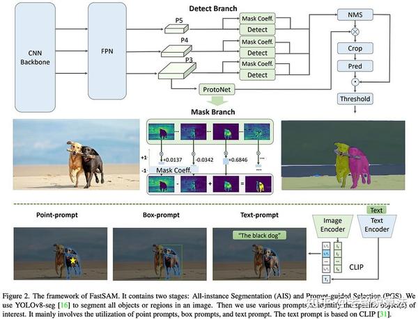 论文解读：Fast Segment Anything | 基于yolov8-seg实现 比SAM快50倍 - 知乎
