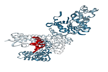 Syd Labs重组抗小鼠PD-L1兔IgG单克隆抗体 - 知乎