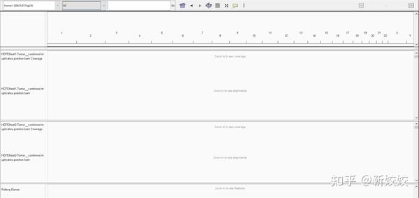 IGV快速上手指南（四）——查看基因融合 - 知乎