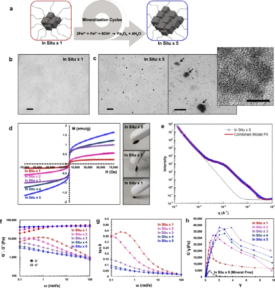 麻省理工学院《自然·通讯》金属配位交联矿化增强聚合物水凝胶支架 - 知乎