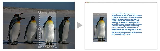 DJANGO图片裁剪工具django-image-cropping - 知乎