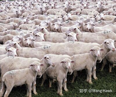 15. 如何通过缝隙拼接图像 - Graphcut Texture - 知乎