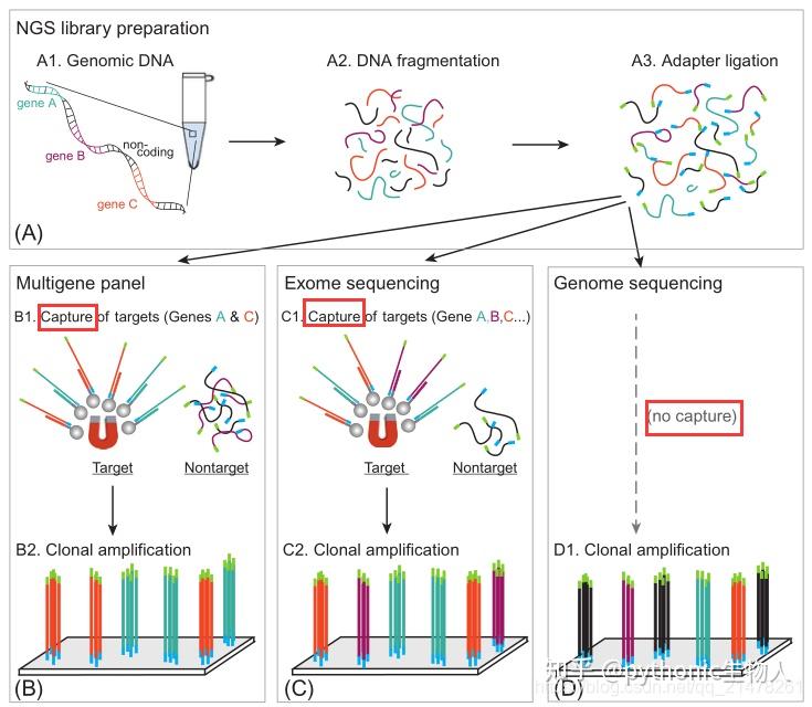 Omics精进01|临床WGS/WES/Gene Panel/Single gene异同 - 知乎