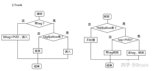 图解 trunk，hybrid - 知乎