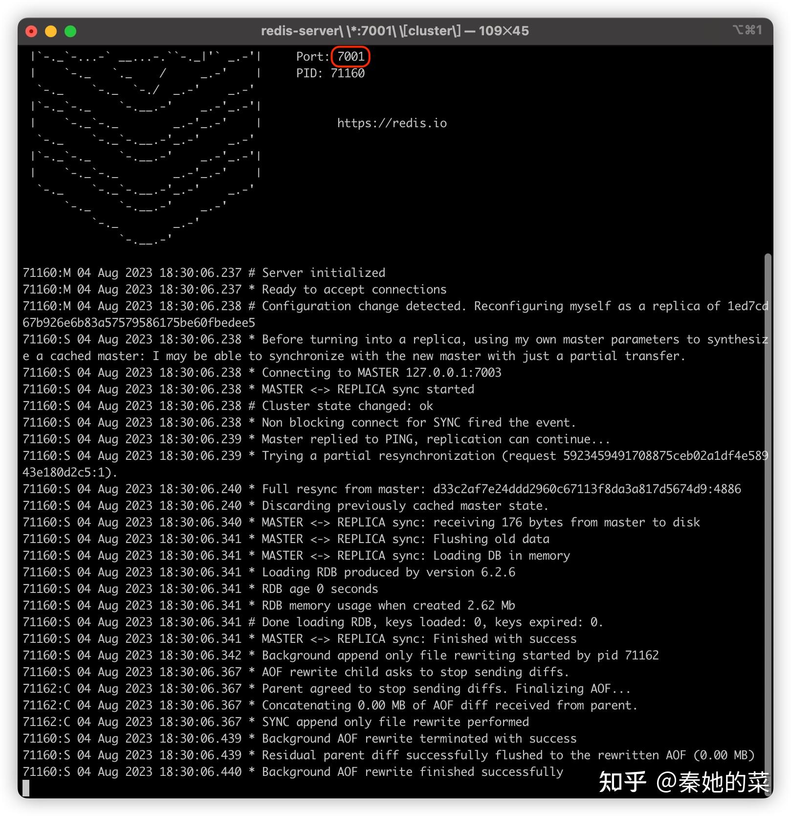 【保姆级】Redis集群（cluster）本地案例手把手操作指南（含常见问题以及处理方式） - 知乎