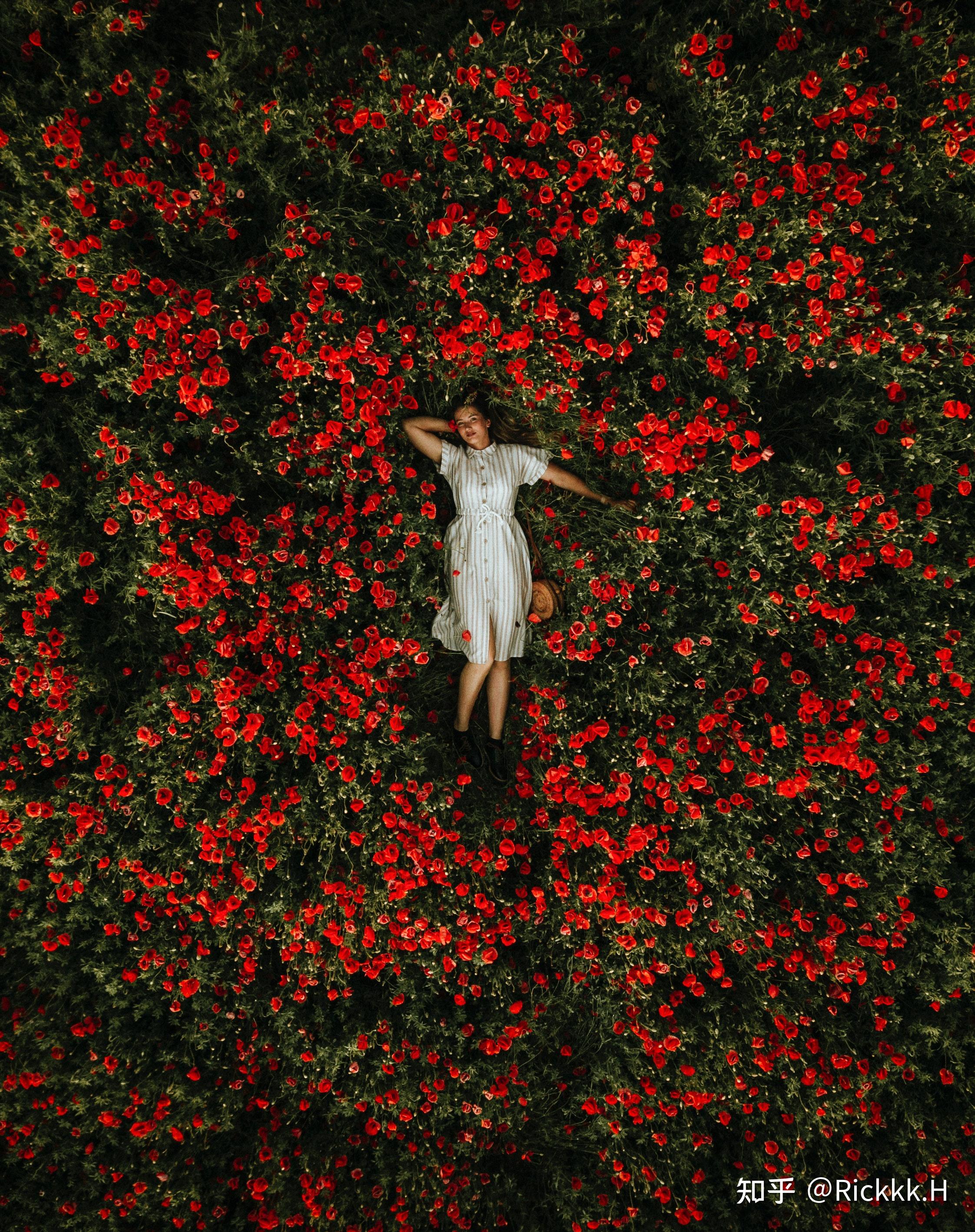 香评：Tom Ford - Rose Prick | 汤姆·福特 荆刺玫瑰 - 知乎