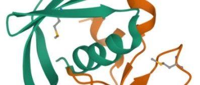 Amber教程|分子动力学模拟 - 知乎