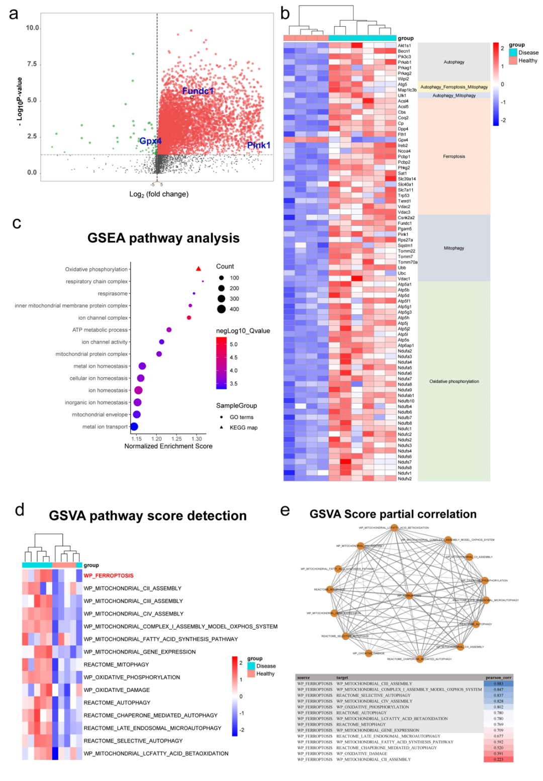 J Adv Res｜复旦大学中山医院团队阐述肝纤维化过程中线粒体自噬调控铁死亡的新机制 - 知乎