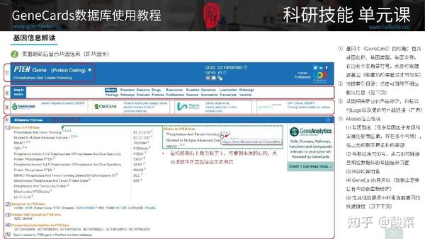 傻瓜式图文教程：Genecards基因信息检索与分析、基因结构图绘制...... - 知乎
