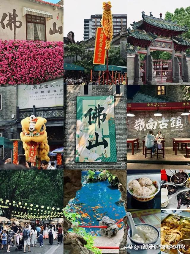 端午寻龙记：六座城市的水上江湖与烟火人间 - 知乎