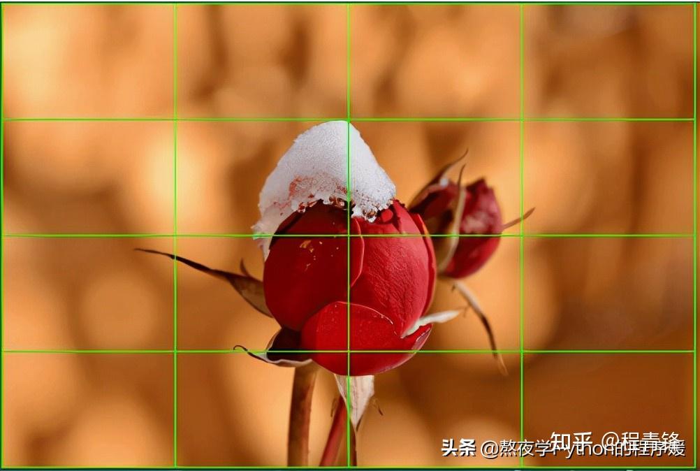 Python计算机视觉 使用opencv裁剪图像 知乎
