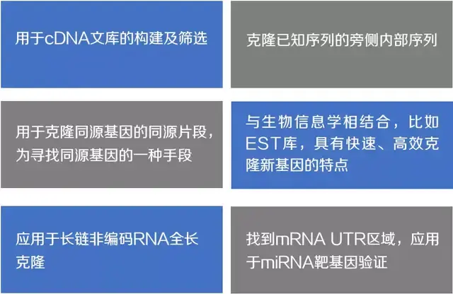 RACE技术怎么理解？ - 知乎