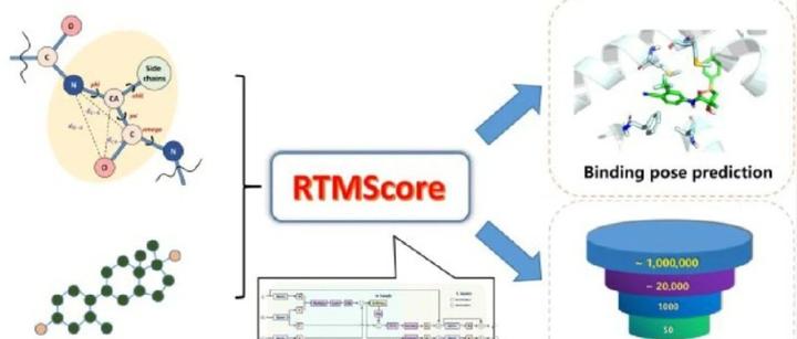 RTMScore: 基于残基-原子距离的蛋白-配体虚拟筛选新打分函数 - 知乎