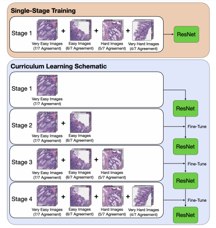 WACV 2021 论文大盘点-图像分类篇 - 知乎