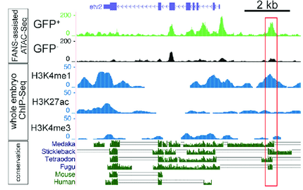 使用ChIPSeeker进行ChIP-seq， ATAC-seq，cut&tag等富集峰的基因组注释 - 知乎
