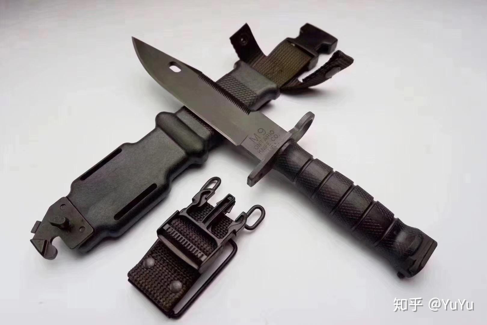 安大略M9 - 知乎