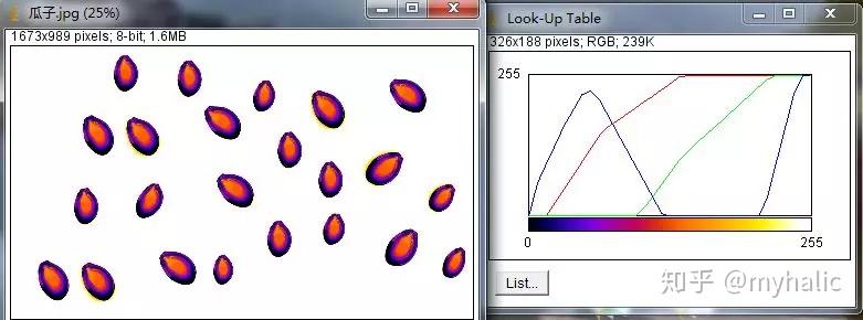 干货 | 一把西瓜子也能教会你 ImageJ 图片分析 - 知乎