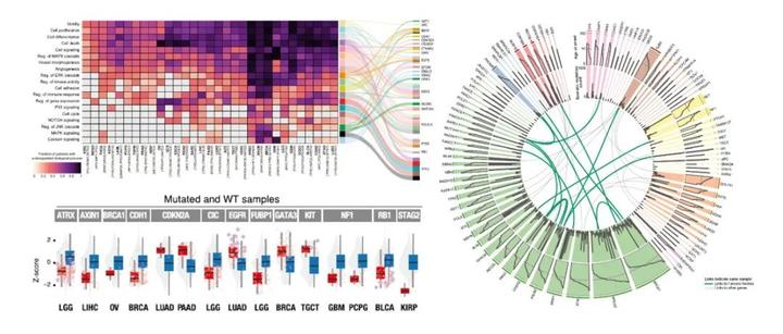TCGA教程|TCGA更新了？！最新数据处理拿捏住！ - 知乎