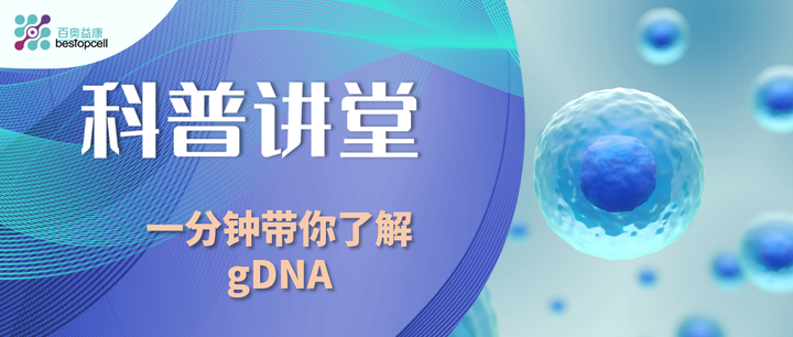 科普讲堂 | 一分钟了解gDNA，抓紧来看~ - 知乎