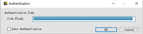 使用Renesas Flash Programmer(RFP)修改Option Byte及刷写程序 - 知乎