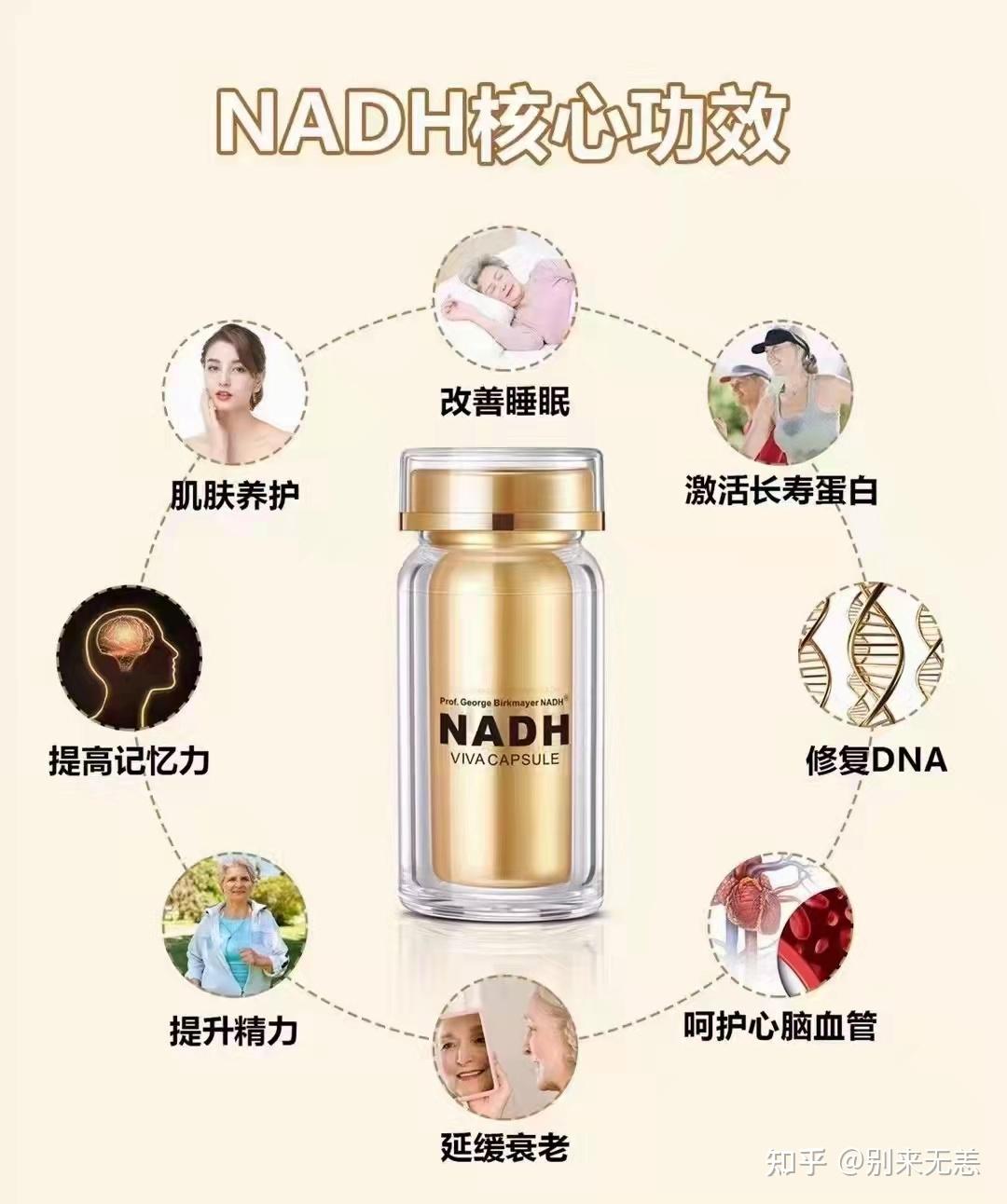 NADH是什么？ - 知乎