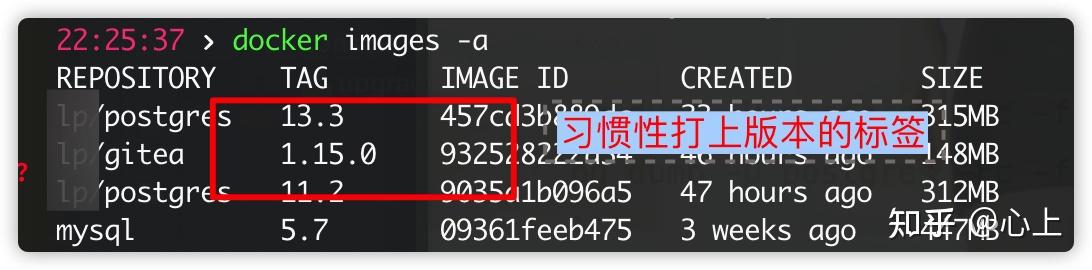 Docker真好用，实操postgres11升级postgres13 知乎 5193