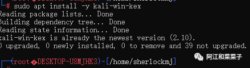 基于 WSL2 部署 Kali Win-Kex - 知乎