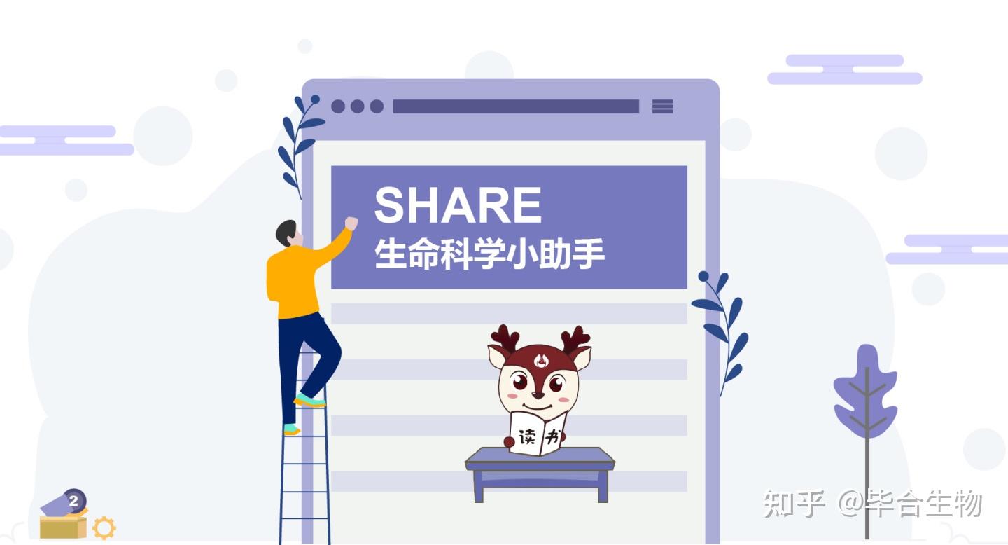 血红蛋白分子结构特点与测定方法 - 知乎