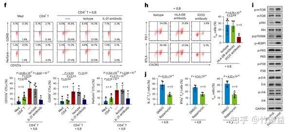 【转化医学研究】鼻咽癌吉西他滨加顺铂治疗后的肿瘤免疫微环境 - 知乎