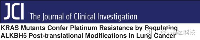 易基因：m6A-seq+RNA-seq揭示KRAS突变通过调控ALKBH5翻译后修饰导致肺癌对铂类药物耐药｜JCI - 知乎