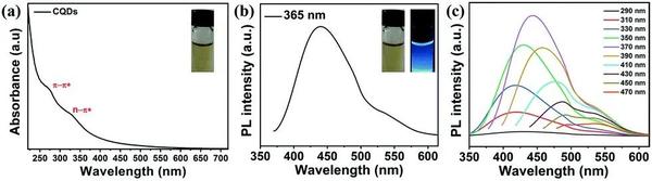 Biomater Sci:西兰花衍生碳量子点的PDT效应在突变秀丽隐杆线虫模型中得到证实 - 知乎