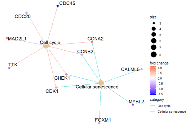 R语言KEGG信号通路富集分析（enrichplot、ggplot2、pathview绘图） - 知乎
