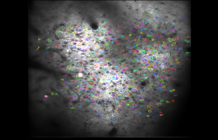 双光子钙成像数据处理——Suite2p（安装篇） - 知乎