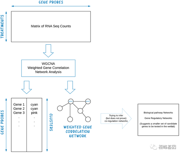 RNA 13. SCI 文章中加权基因共表达网络分析之 WGCNA - 知乎