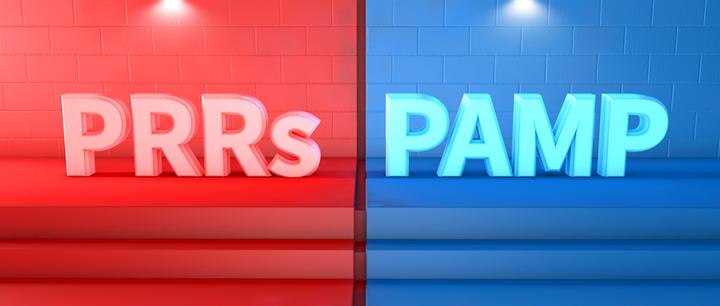 模式识别受体PRRs与病毒PAMP之间的恩怨情仇 - 知乎