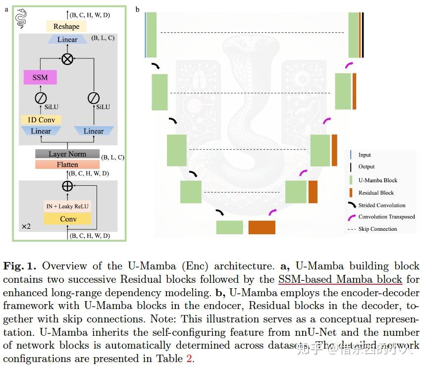 Vision Mamba论文阅读（三） - 知乎