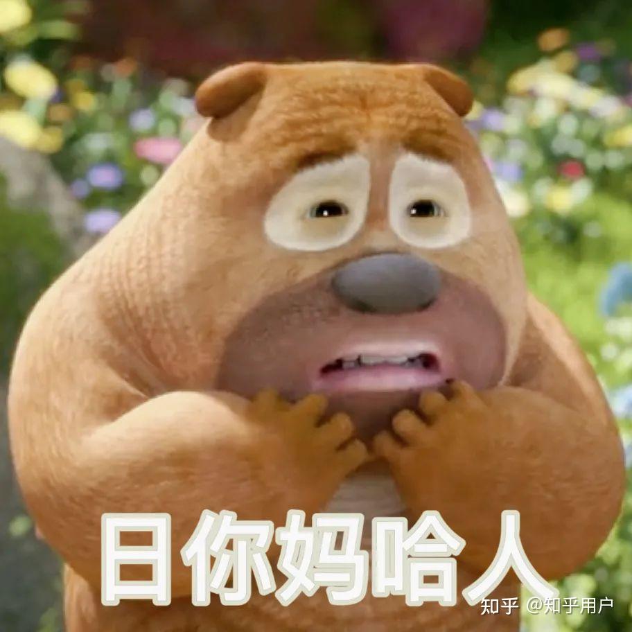 熊大熊二表情包 - 知乎