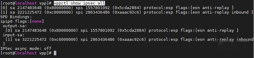 VPP配置指南：基于IKEv2的IPsec VPN - 知乎