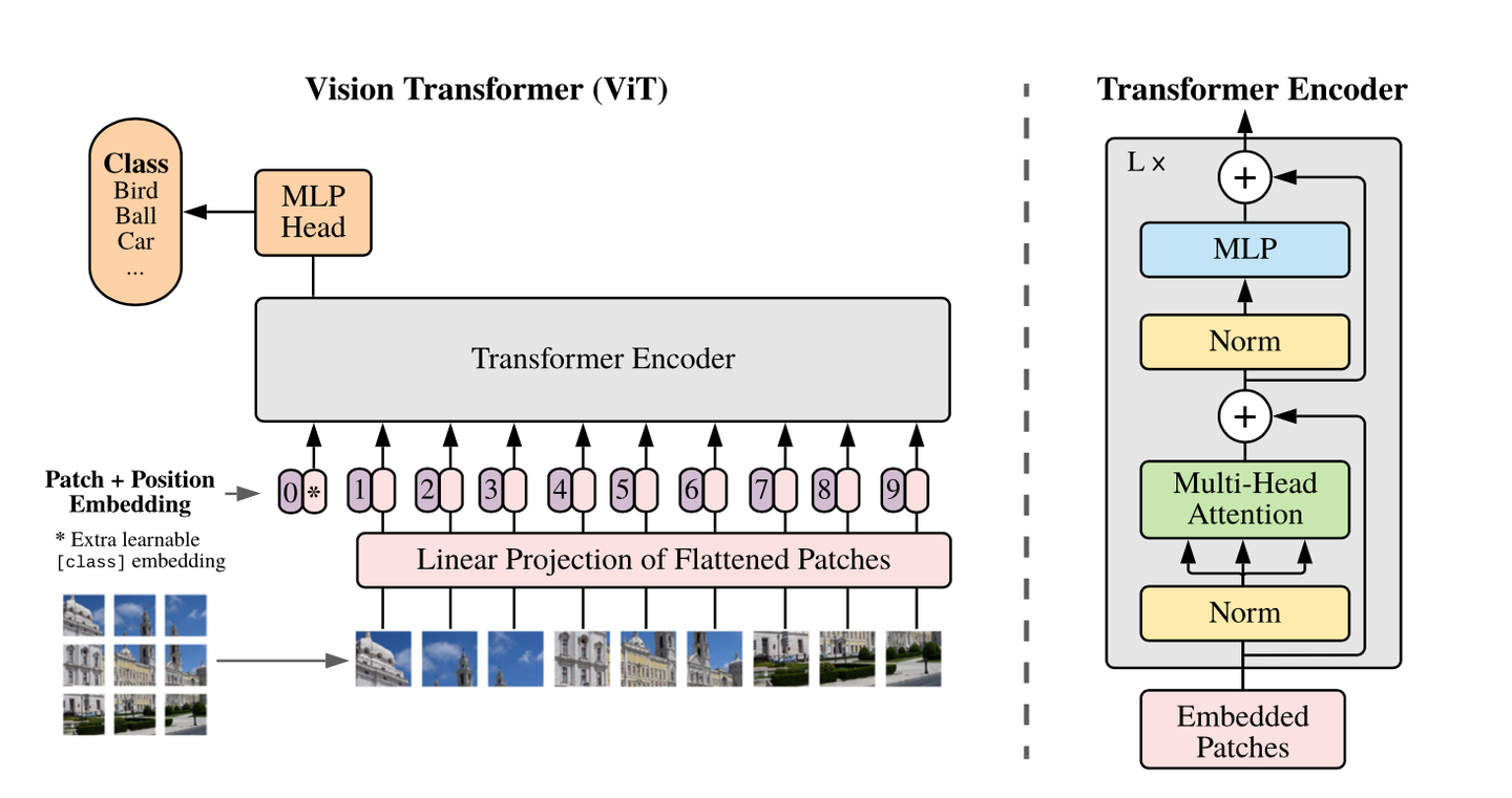 ViT: 简简单单训练一个Transformer Encoder做个图像分类 - 知乎