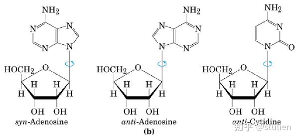 分子生物学回顾——染色体与DNA - 知乎