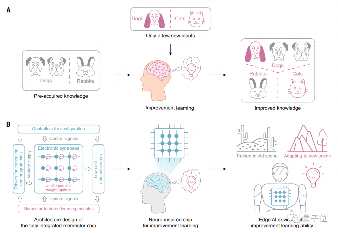 清华芯片新突破登Science，获评“存算一体领域重大进展”！基于类脑架构实现片上快速AI学习 - 知乎